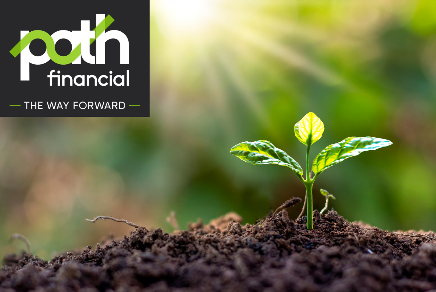 Q&A with The Path Financial | Ethical Consumer